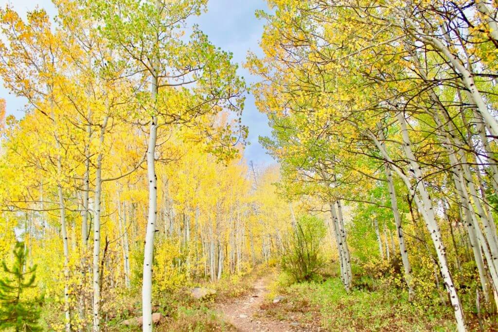 fall trail - Venture Out
